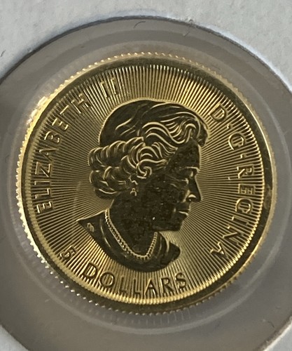 2020 Canada 1/10 oz .9999 Gold $5 Polar Bear Gold Coin | eBay