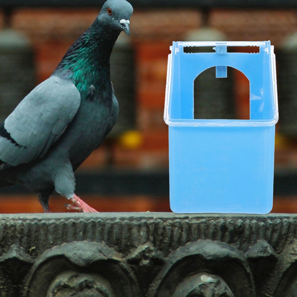 2 Pcs Bird Cage Dish Small Pigeon Feeder Feeding Container Hanging ...
