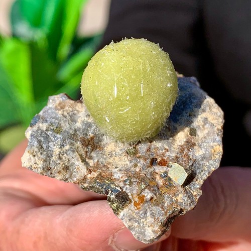 44G Pyromorphite Crystal Unique Spherical specimen , Guangxi,China | eBay