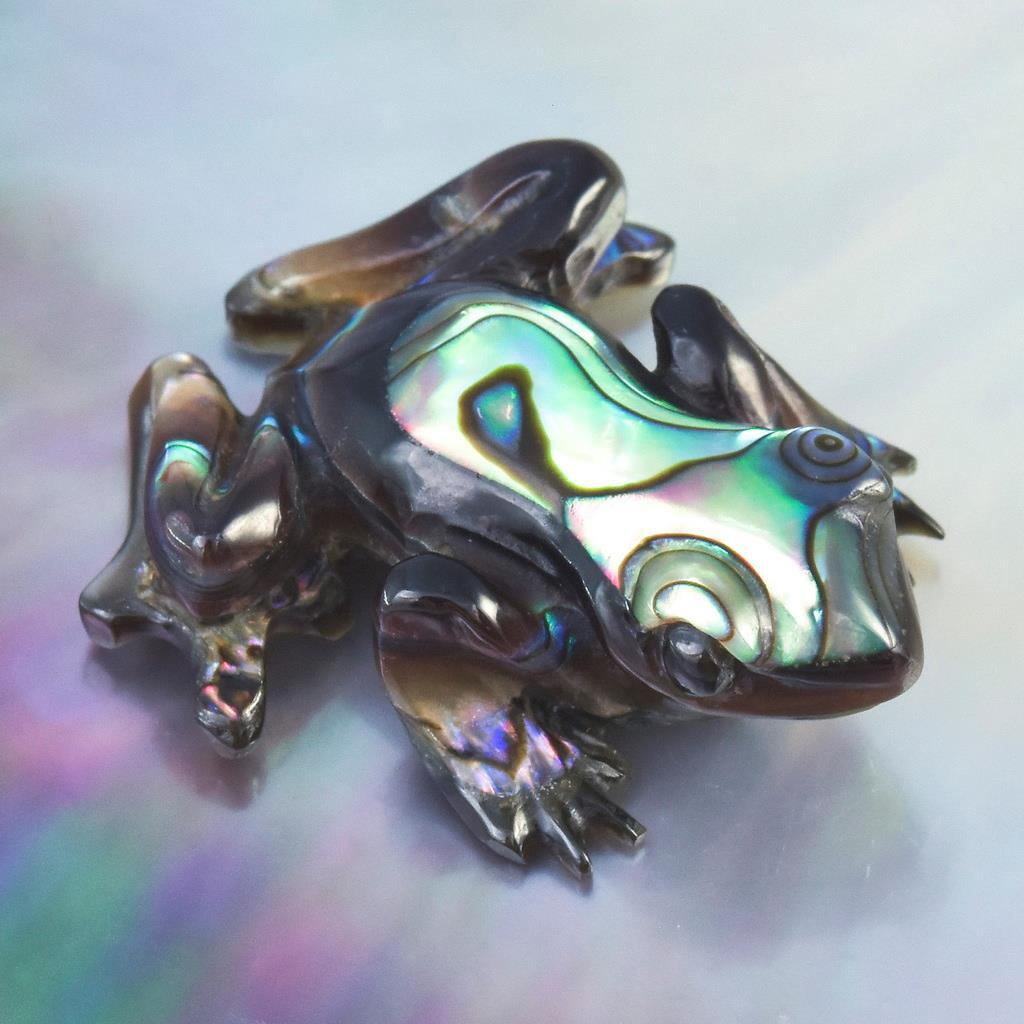 Curare Poison Arrow Frog Paua Abalone Black Mother-of-Pearl Shell ...