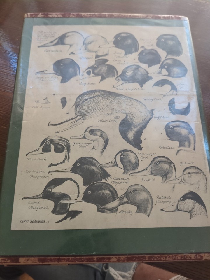 COMPLETE DUCK SHOOTER'S HANDBOOK by Robert Scharff (1957) Putnam's ...