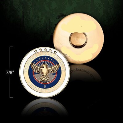 TSA TRANSPORTATION SECURITY ADMINISTRATION 5 YEAR LAPEL PIN | eBay