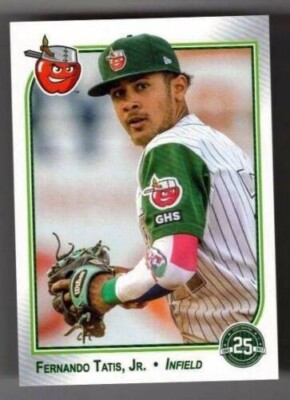 2017 FERNANDO TATIS JR CARD FROM FORT WAYNE TINCAPS TEAM SET MINT | eBay