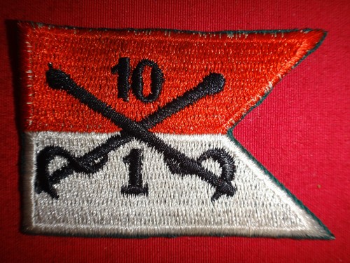Vietnam War US Army 1st Squadron 10th Cavalry Regiment Patch | eBay
