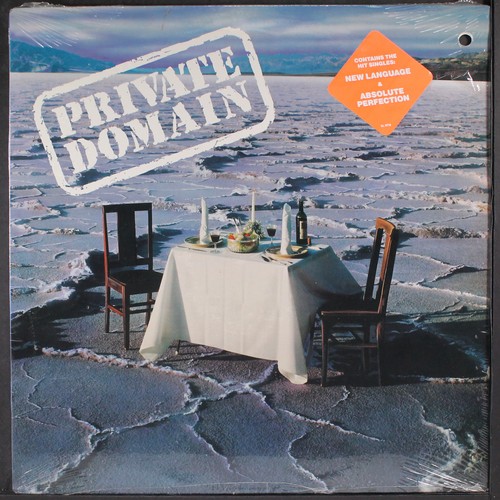 PRIVATE DOMAIN: private domain NUBEAT 12" LP 33 RPM Sealed | eBay