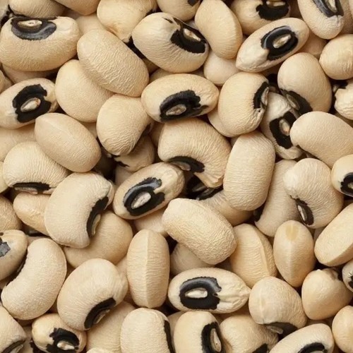 Black Eyed Peas Seeds, Cowpeas, California Blackeye Seeds - Heirloom ...