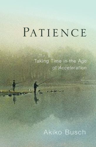 Patience: Taking Time in an Age of Acceleration (AARP) 9781402766473| eBay
