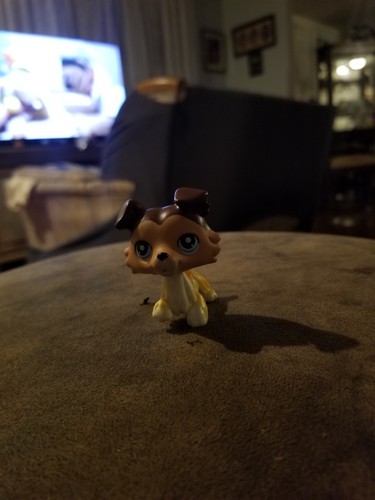 Authentic Littlest Pet Shop (LPS) #58 Collie Dog Sage Paw Up Beige Tan ...