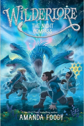 The Night Compass (Wilderlore) by Amanda Foody NEUF | eBay