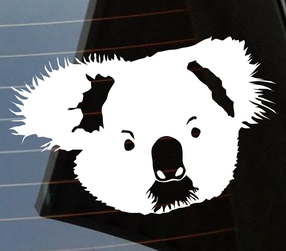 Angry Koala Bear Memes
