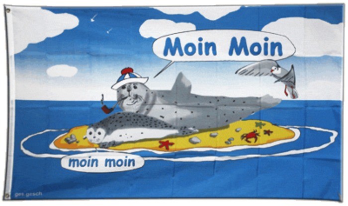 Fahne Robben auf Sandbank Flagge Moin Moin Hissflagge 90x150cm | eBay.de