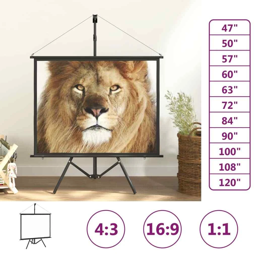 Home Theater Projection Screen Sizes