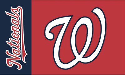 Baseball Washington Nationals Flag 3 X 5 | eBay