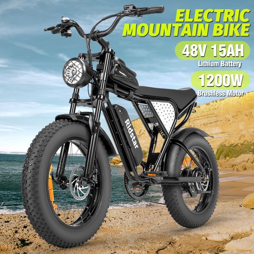 20'' Fat Tire Electric Bike 48V 15Ah 1200W Battery Off-Road US Stock ...