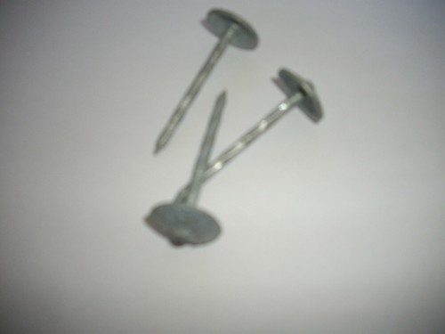 1 KG BAG OF 65MM X 3.35 MM GALVANISED SPRING HEAD NAILS | eBay UK