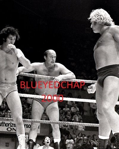 GREG & VERNE GAGNE & NICK BOCKWINKEL WRESTLER 8 X10 WRESTLING PHOTO AWA ...