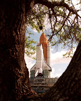 SPACE SHUTTLE ENDEAVOUR ROLLS TO LAUNCH PAD FOR STS-77 - 8X10 PHOTO (EP ...