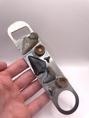 Shark Tooth Fossil Magnetic Bottle Opener | Lowcountry Fossils and ...