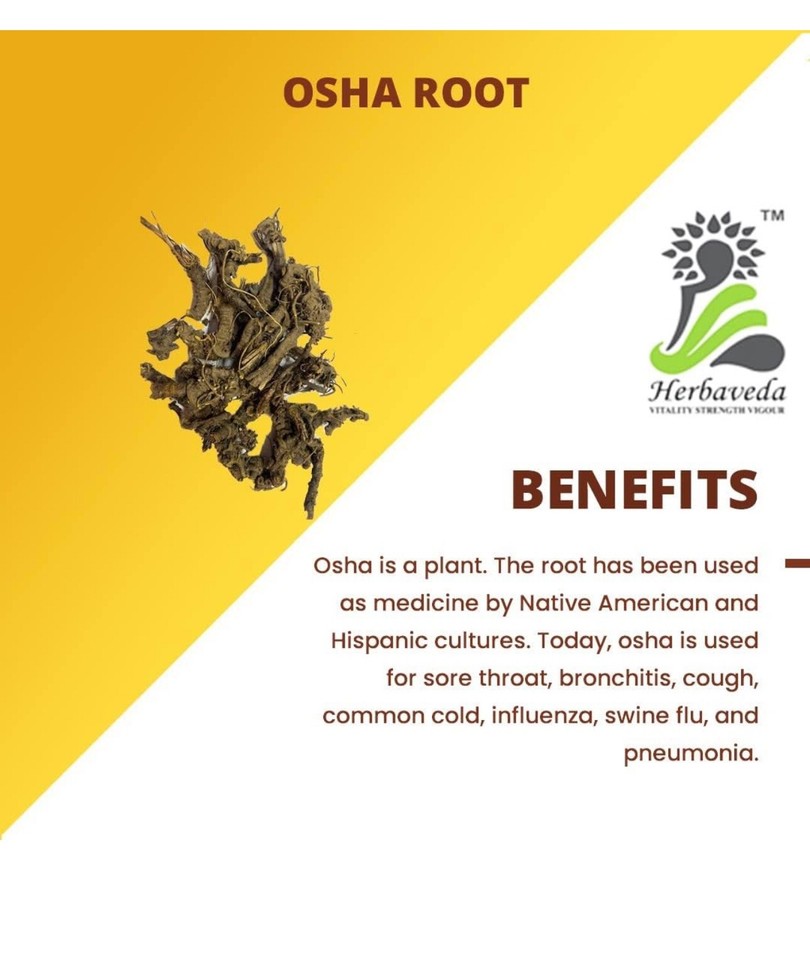Osha root 100g | Promotes digestion | eBay
