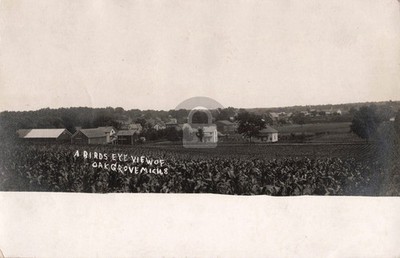 Bird's-Eye View A of Oak Grove MI Michigan RPPC Photo Postcard COPY | eBay