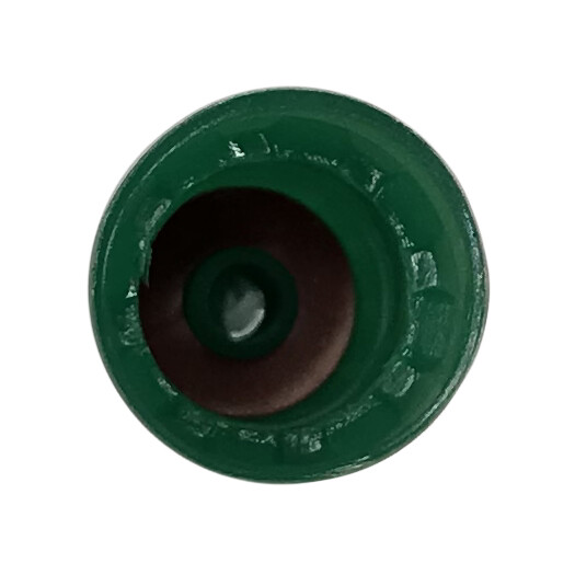 (100) Long Plastic Green Sealing Tire Cap for TR20008 TPMS Valve Stem ...