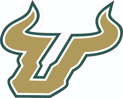 USF BULLS Inspired Full Size Football Helmet Decal | eBay