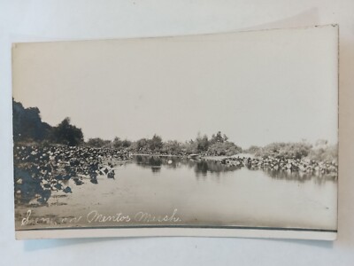 MENTOR OHIO REAL PHOTO POSTCARD 1915 ERA MARSH LAKE ERIE AREA CLEVELAND ...