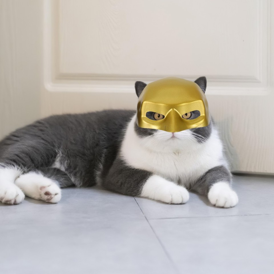 2 Pcs Cat Bat Mask Decorative Pet Hat Cosplay Dog Halloween Costume ...