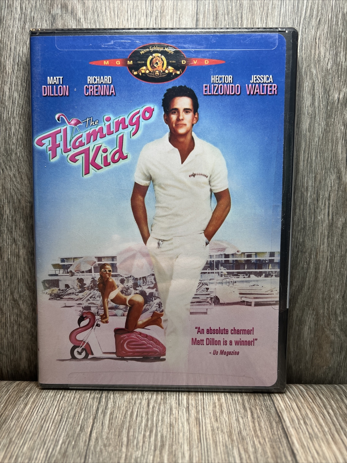 The Flamingo Kid DVD Brand New Sealed Matt Dillon 27616889386| eBay