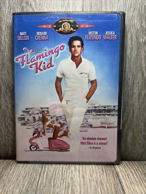 The Flamingo Kid DVD Brand New Sealed Matt Dillon 27616889386| eBay