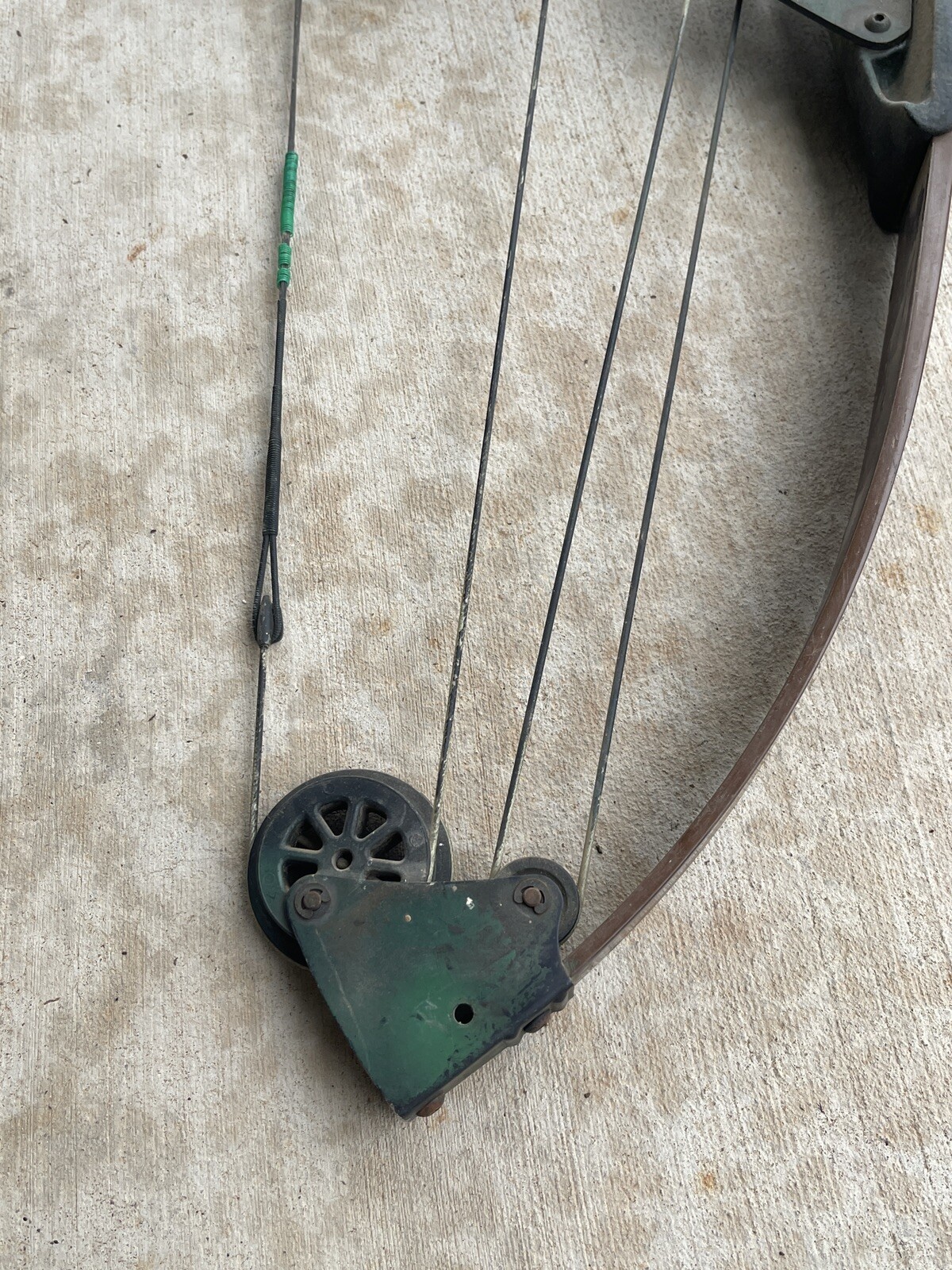 VINTAGE Bear Proline Compound Bow Amo 50” | eBay