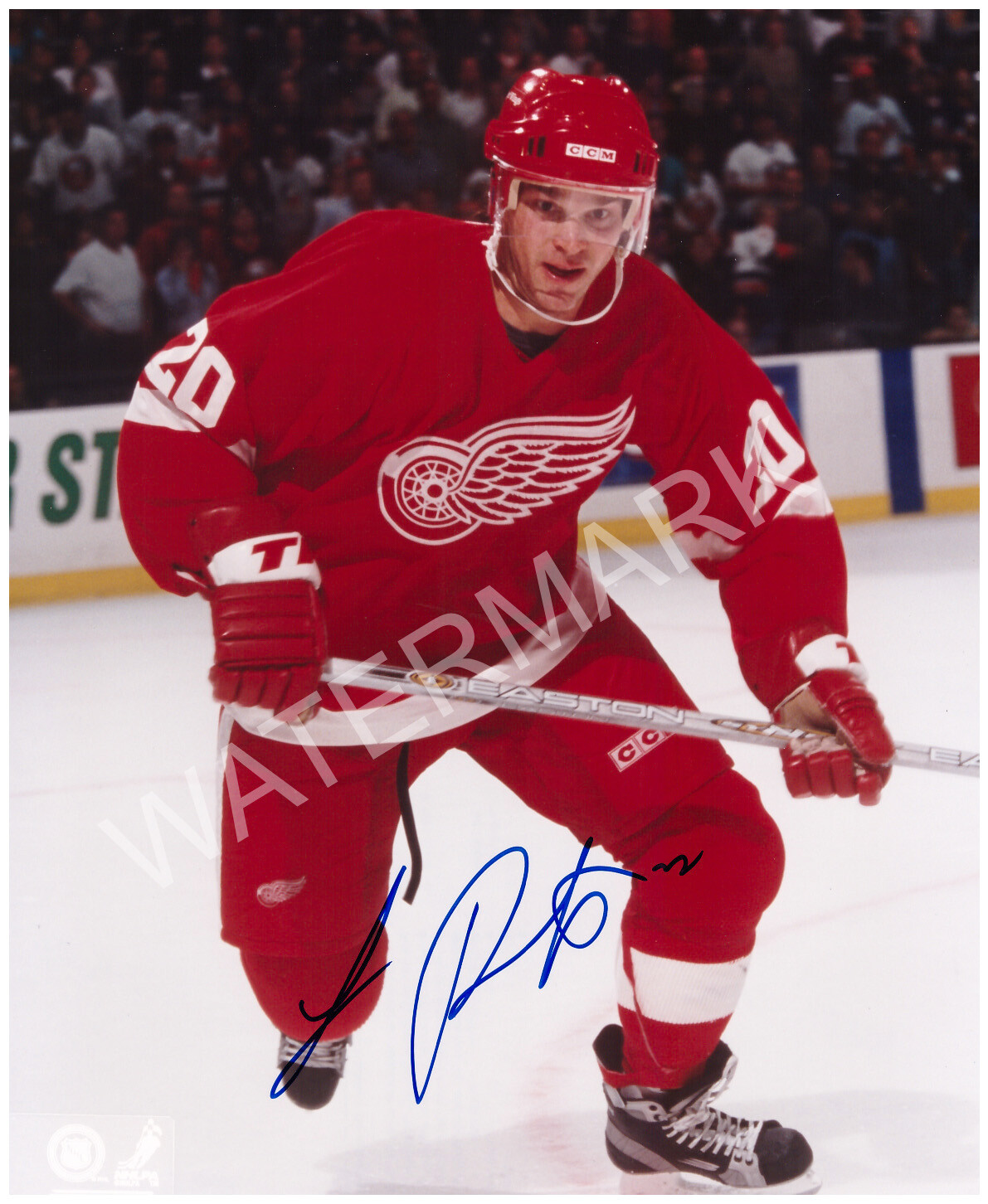 Luc Robitaille Detroit Red Wings Autographed / Signed 8x10 NHL Photo ...