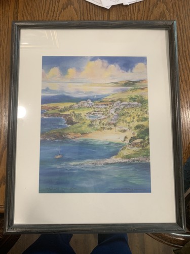 Vintage Hawaiian Ocean celebration of color Framed Sue Stagner Water ...