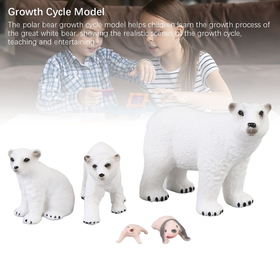 5x Simulation Animal Model Simulation Bear Growth Ornament Children Co ...