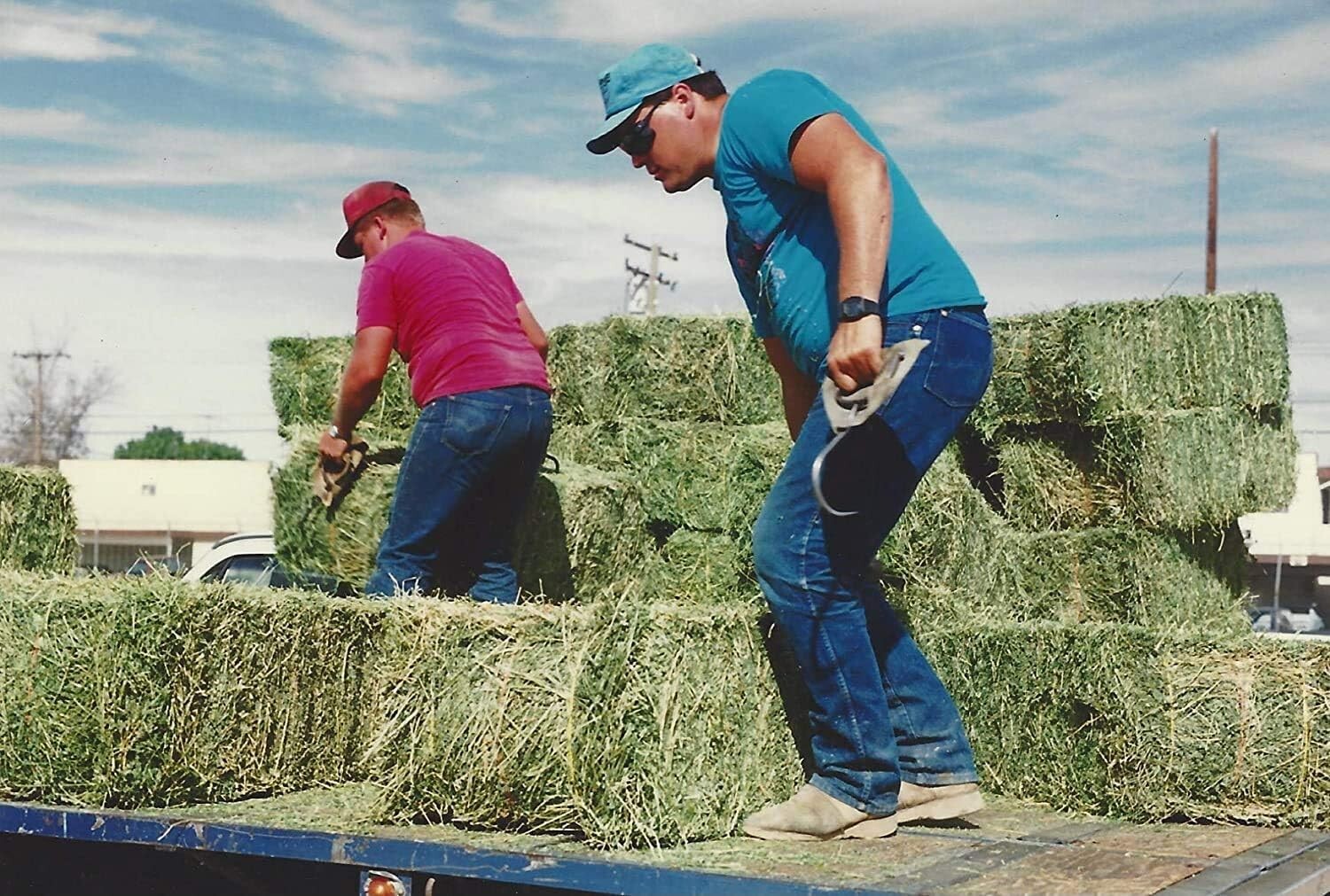 Hay Hooks with Leather Guards for Farmer Dragging/ Hooking/ Picking Up ...