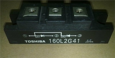 1Pcs Toshiba Power Module Brand New 160J2G41 wm | eBay