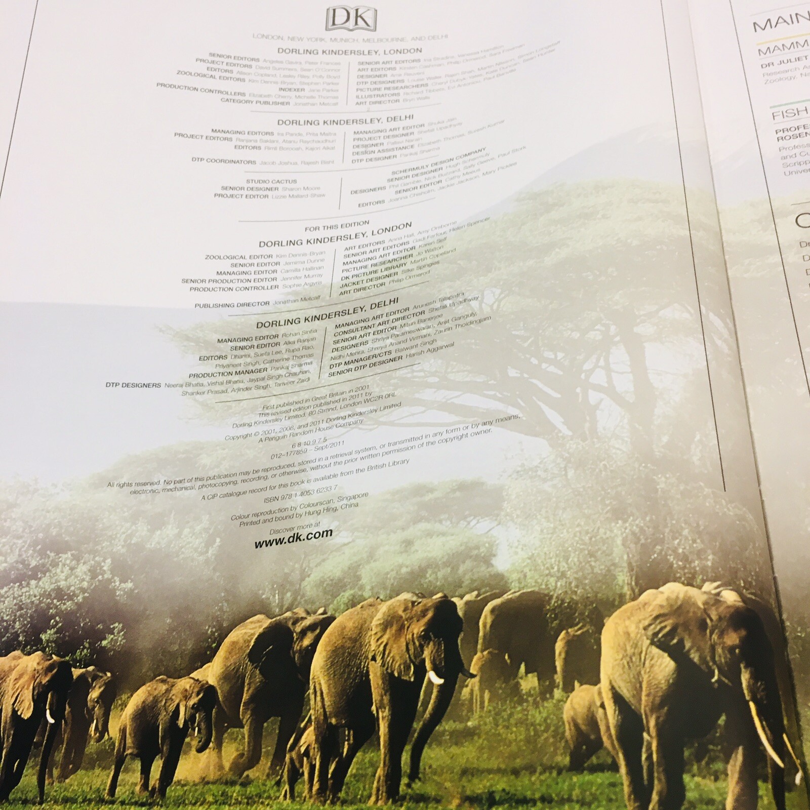 Animal: The Definitive Visual Guide to the World's Wildlife Large Book ...