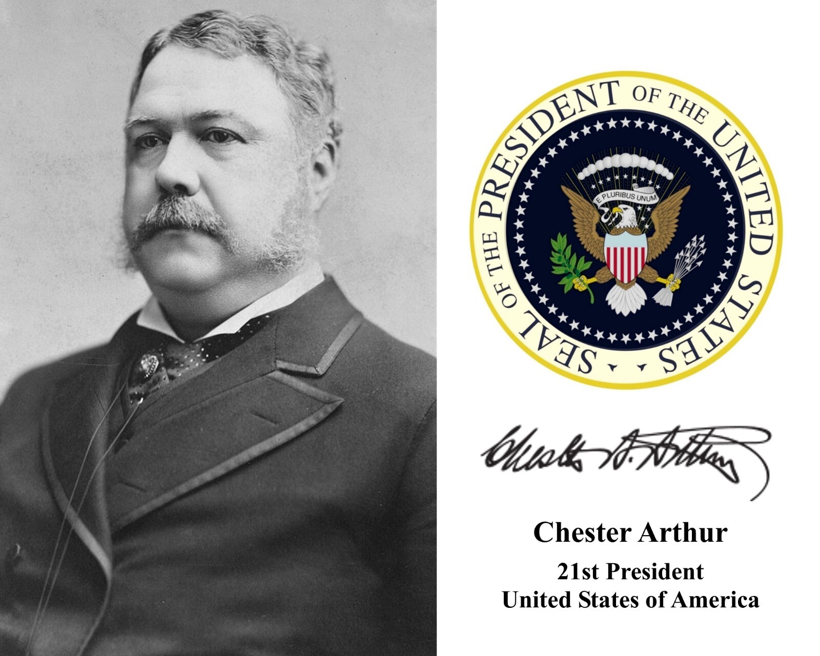Chester A. Arthur Presidential Seal Portrait Autograph 8 x 10 Photo ...