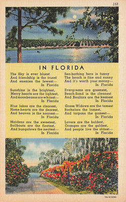 Postcard In Florida Poem | eBay