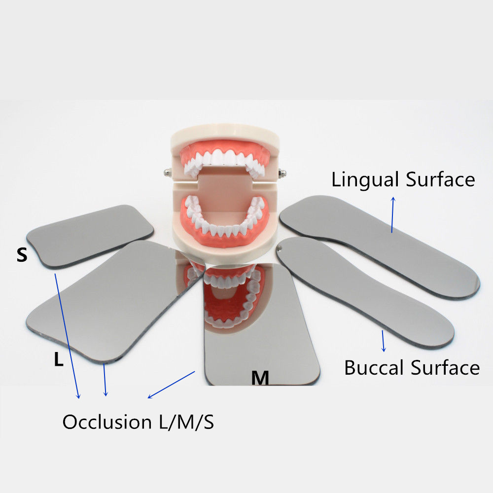Buccal Tooth Surface