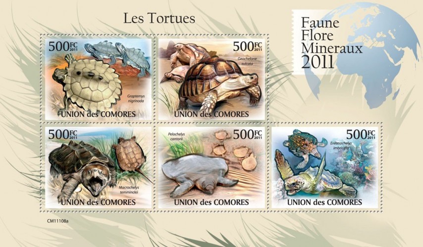 Turtles turtle Reptiles Comoros Comores 2011 m/s Mi. 3007-11 MNH # ...