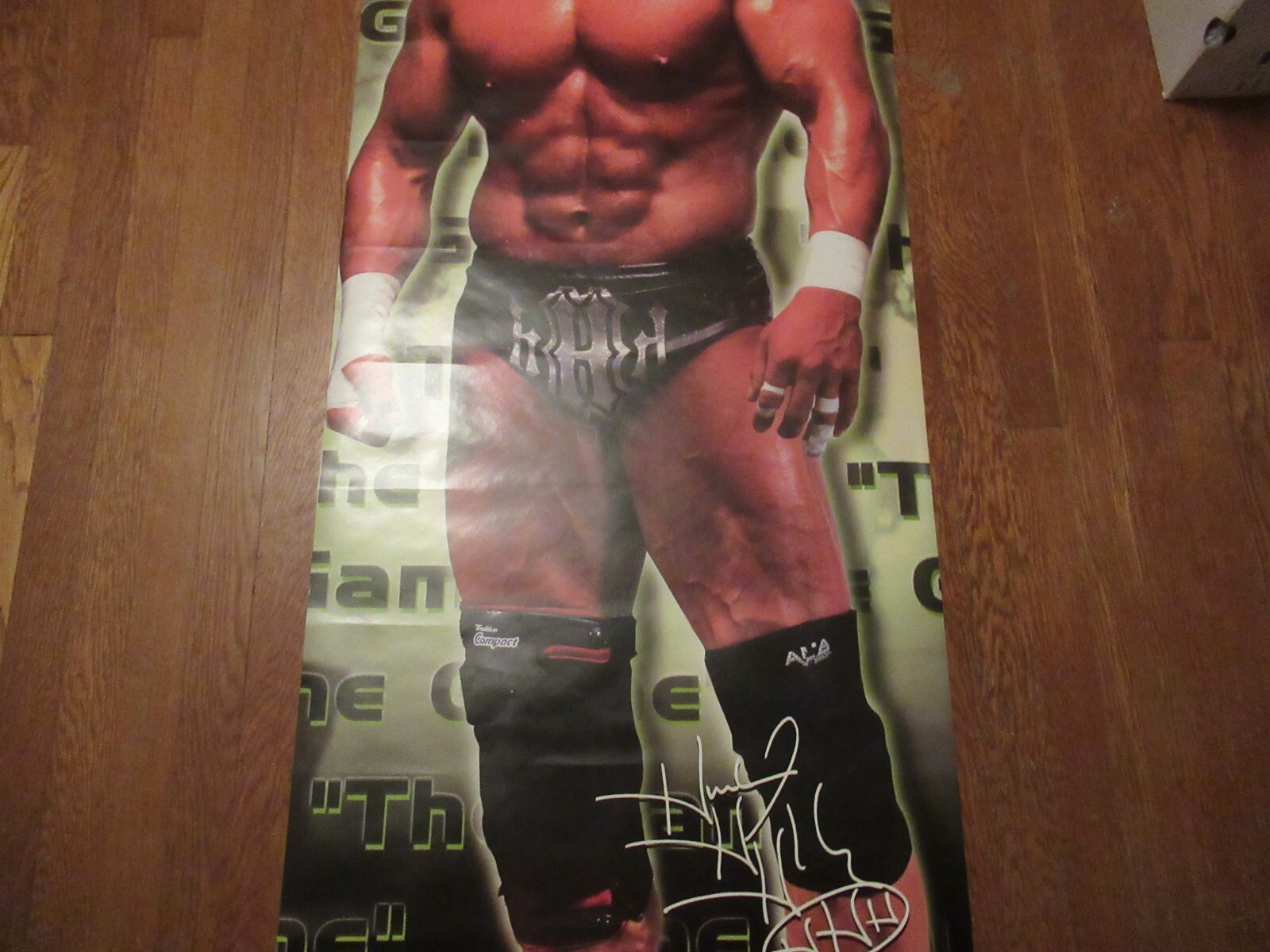 2000 wwf the game triple h 2x6 door size poster by captiva/new very ...