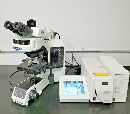 Olympus Microscope BX63 Fluorescence for FISH | eBay