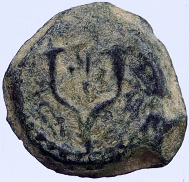 Salome Alexandra HYRCANUS II ARISTOBULUS II Ancient Coin Hendin 1159 ...