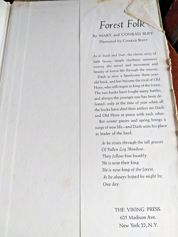 Dash & Dart By Mary & Conrad Buff Hardcover 1943 2nd Print-Deer Story ...
