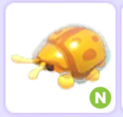 Adopt A pet from Me - Neon Golden Tortoise Beetle - *SAME DAY DELIVERY ...