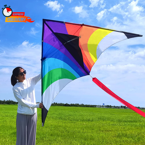 Best Kites for Beach, Big Kites for Adults, Giant Kite Large Kites for ...