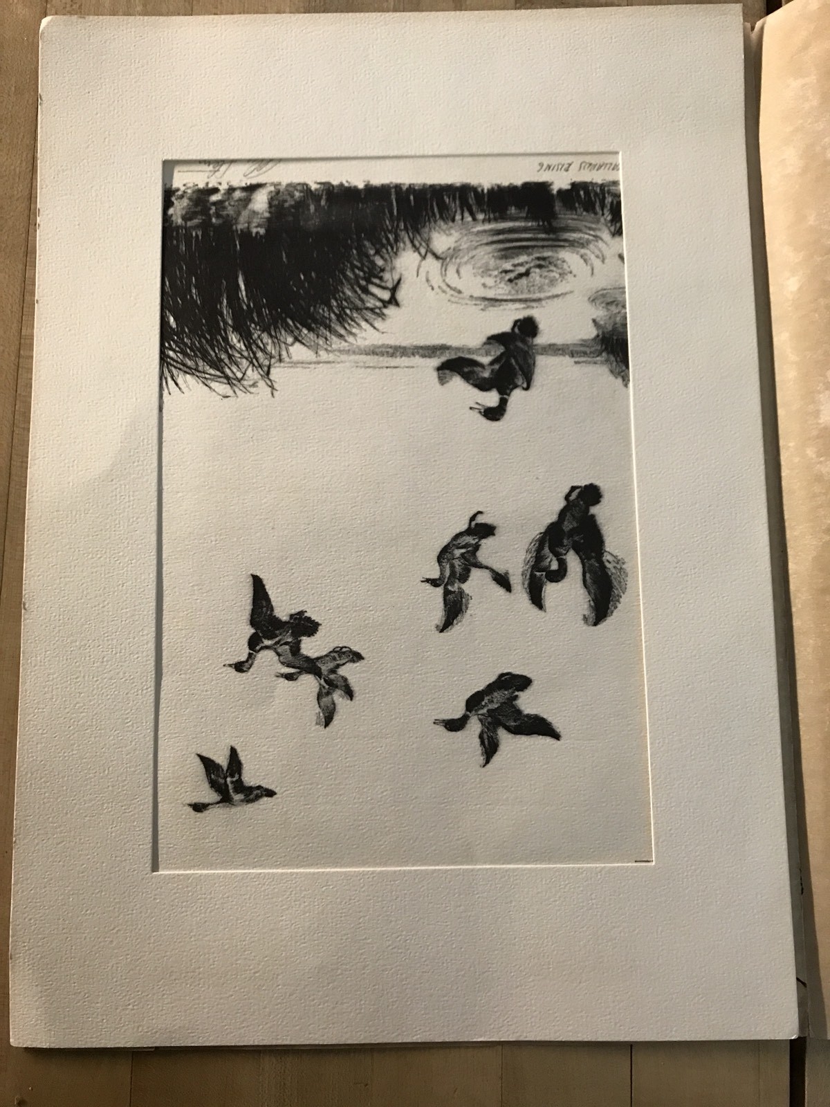 Alexander Stern Alec Signed Etching Seven Mallards Rising original ...