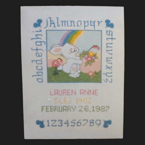 Bunny Birth Announcement Certificate Cross Stitch Kit 9x12 Easter ...