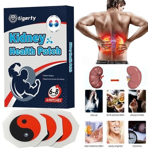 4pc Kidney Recover Patch Restore Health Cleanse Support Detox Herbal ...